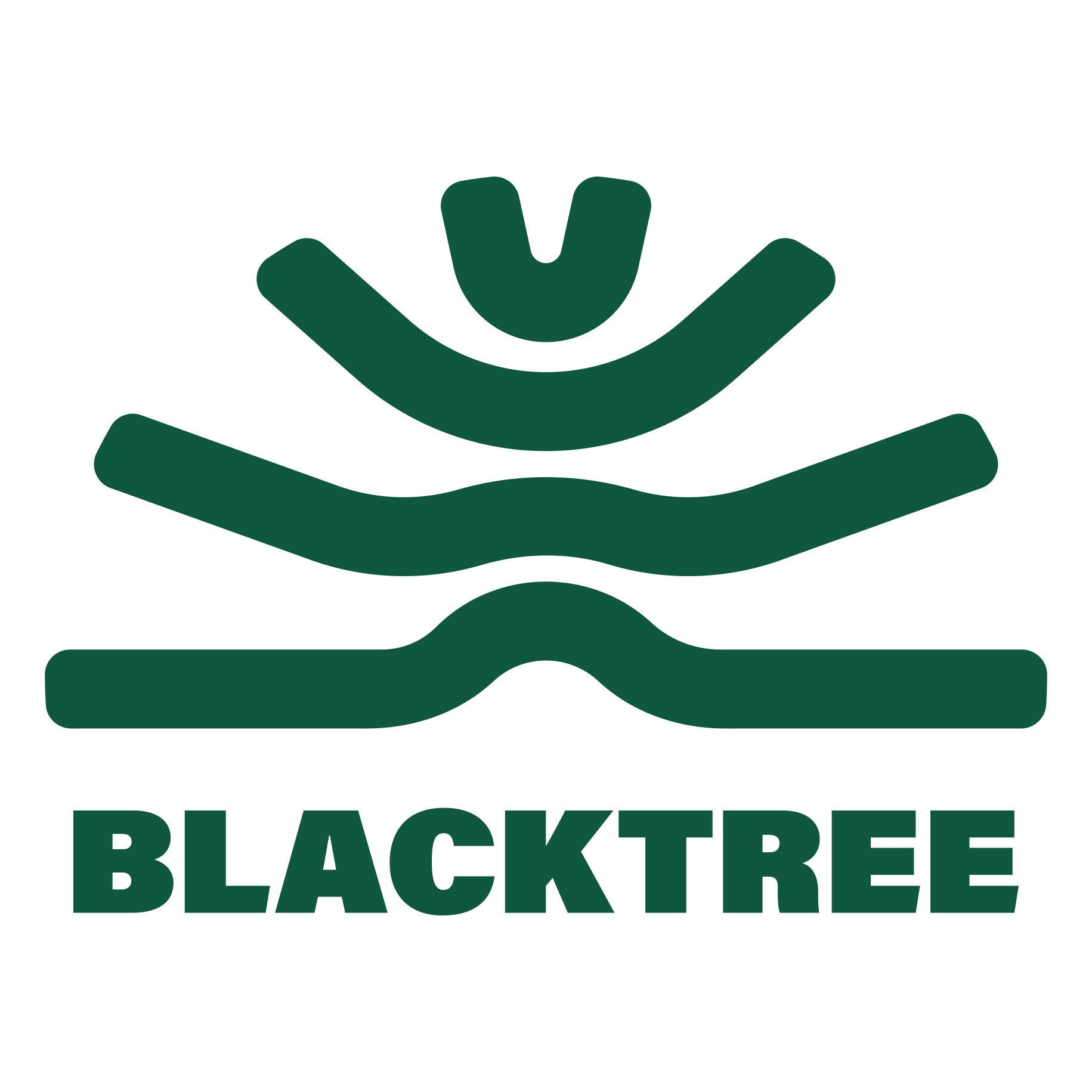 We are Blacktree: Mode mit Verantwortung – weareblacktree